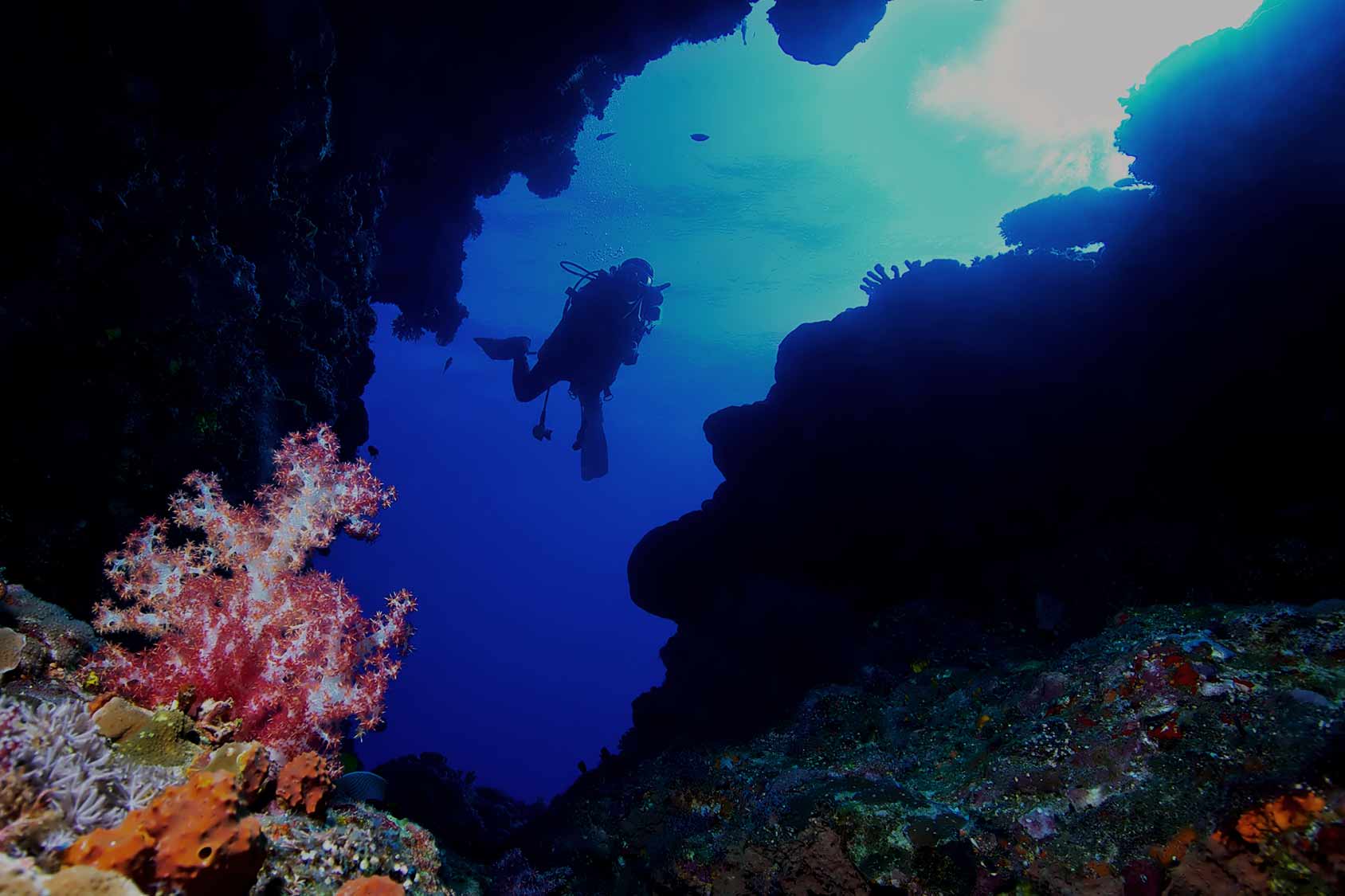 PADI Deep Diver Specialty Course - Palawan Divers PADI Deep Diver Specialty Course - Palawan Divers